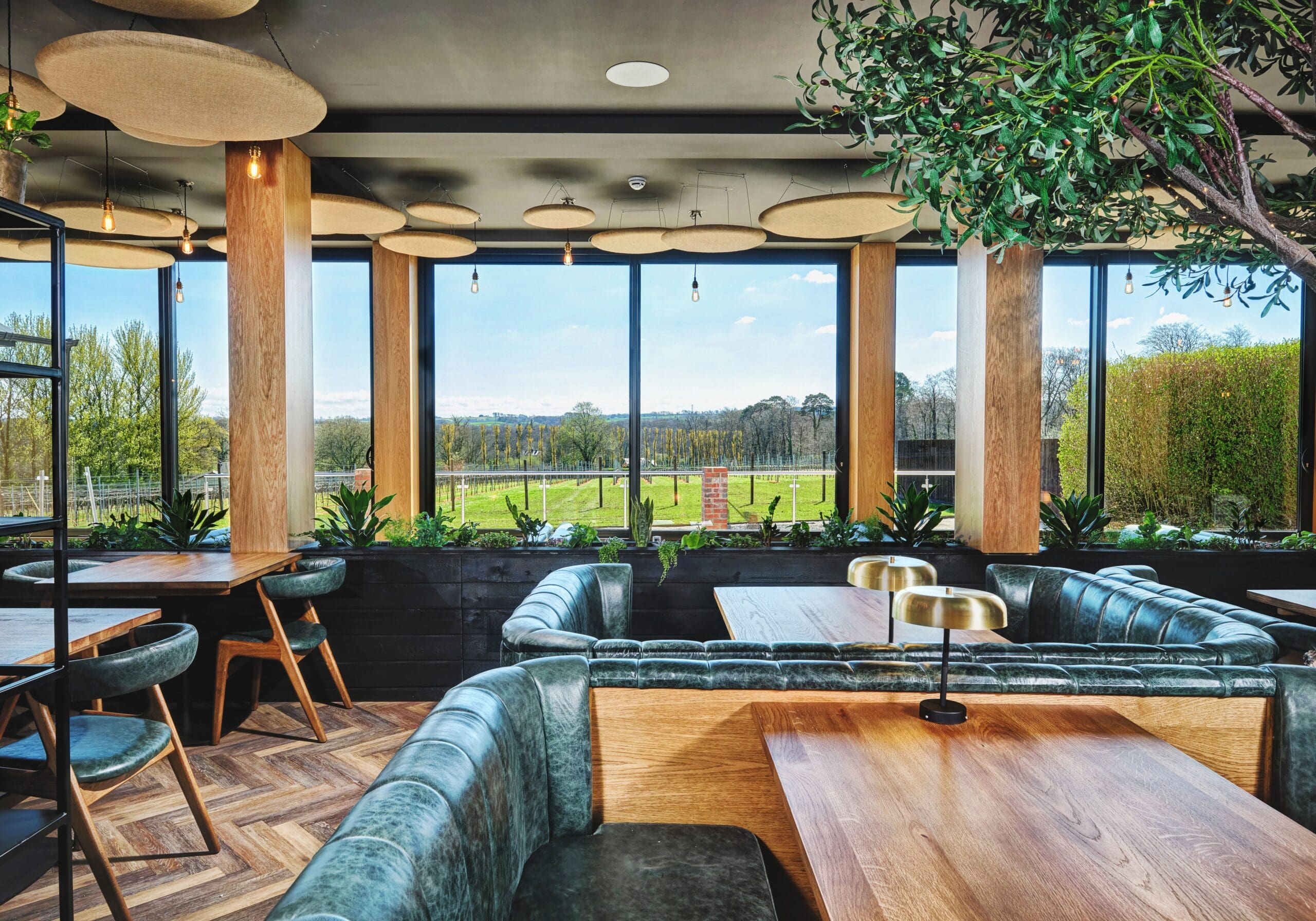 Llanerch Vineyard - Vale Consultancy